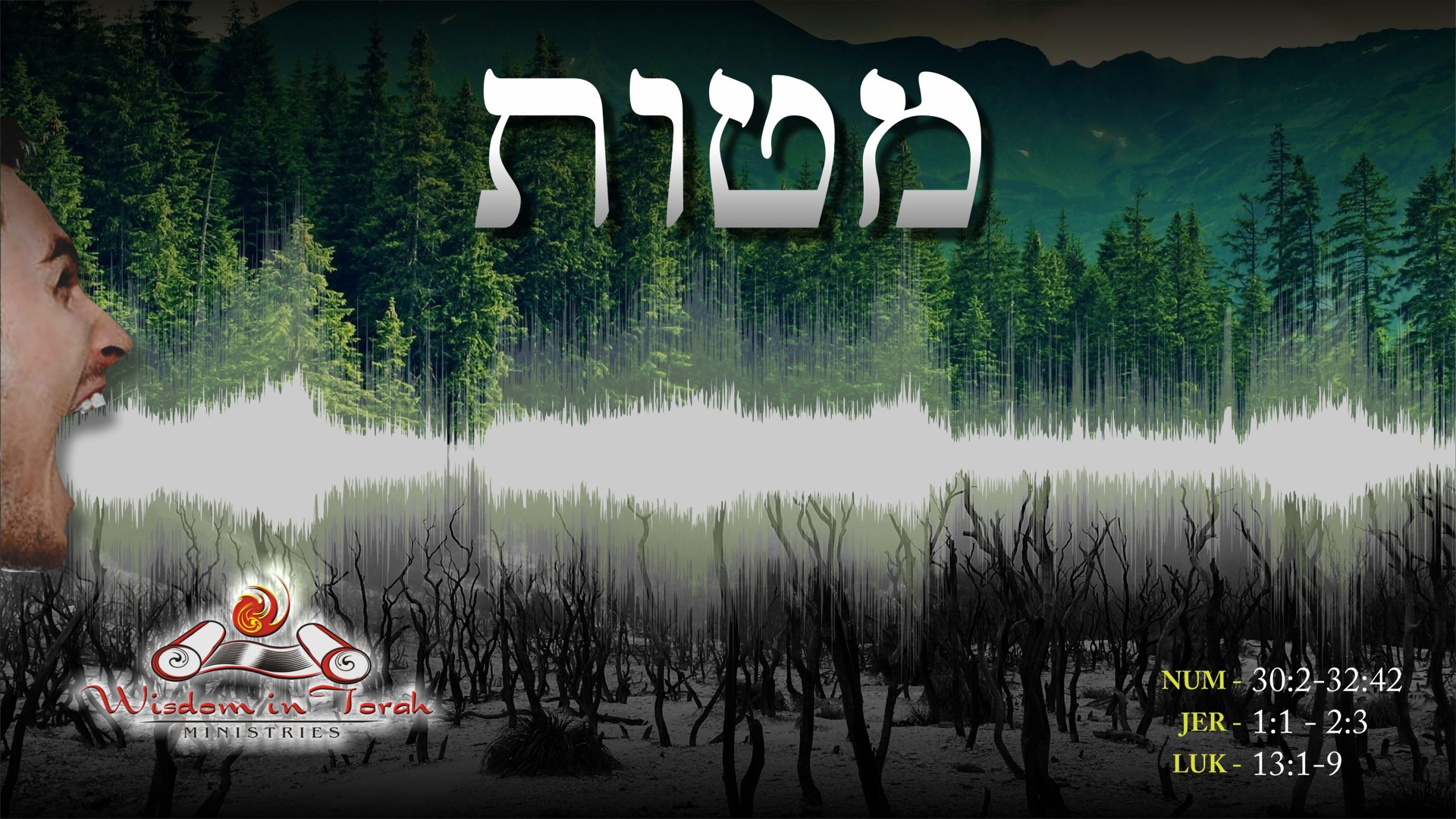 Torah Portion Matot Complete - Wisdom In Torah Ministries - Rico Cortes