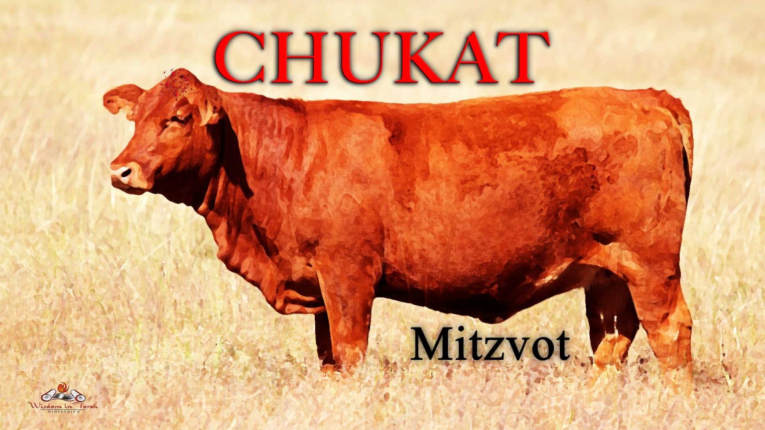 Chukat 2022 - Red Heifer - Mitzvot - Wisdom In Torah Ministries - Rico ...