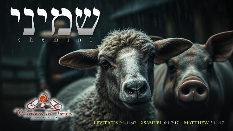 Torah Portion Shemini Complete - Wisdom In Torah Ministries - Rico Cortes