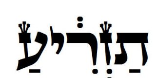 Wisdom In Torah Ministries - Rico Cortes